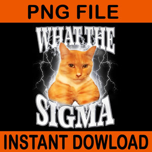 What The Sigma Meme Y2K Cat Ironic Brainrot Meme PNG – buydesigntshirt